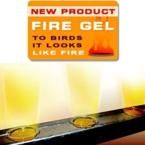 Bird Free 4-S Gel | Pigeon Patrol Products & Services