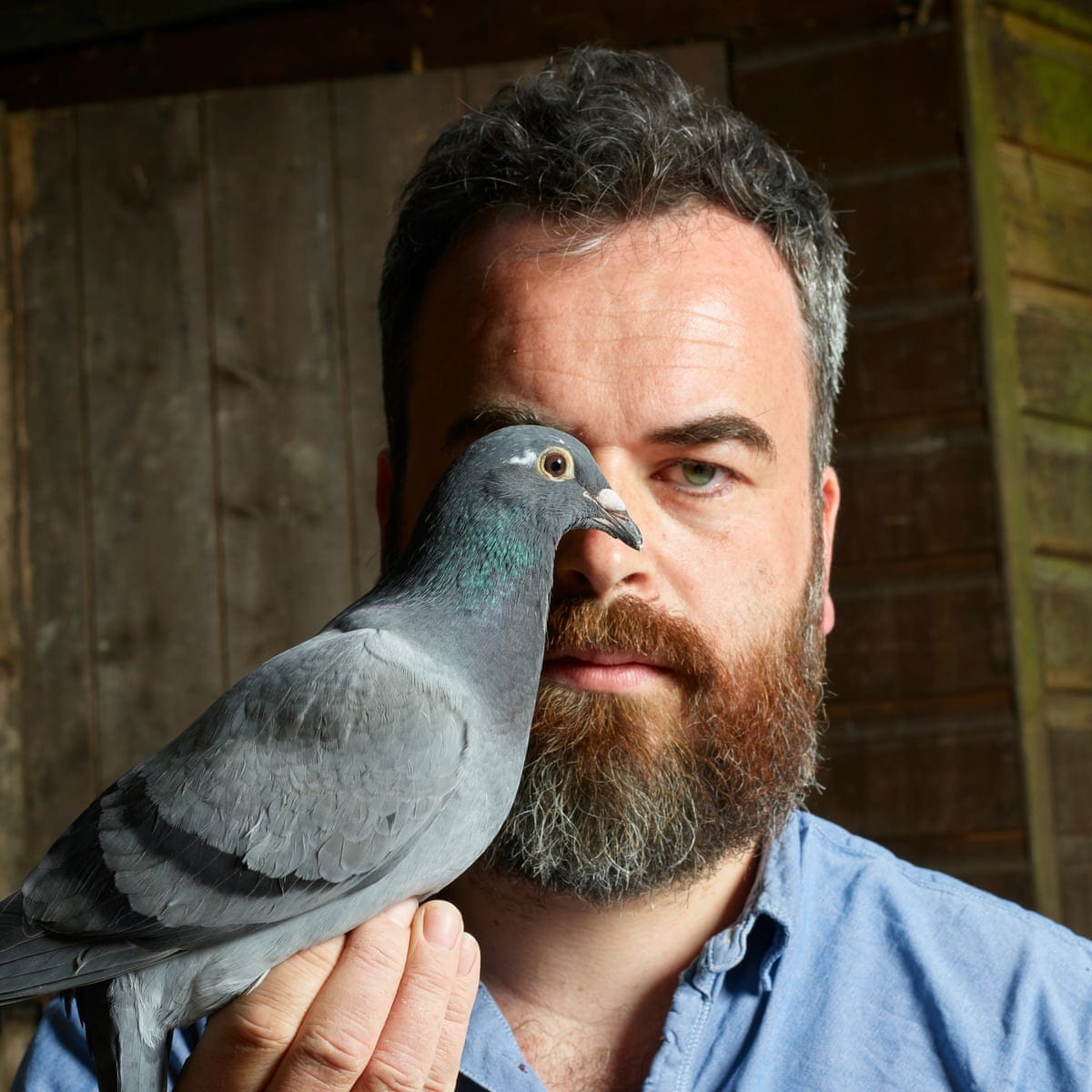 Gambling: Does It Turn People into Pigeons? - Pigeon Patrol Canada ...