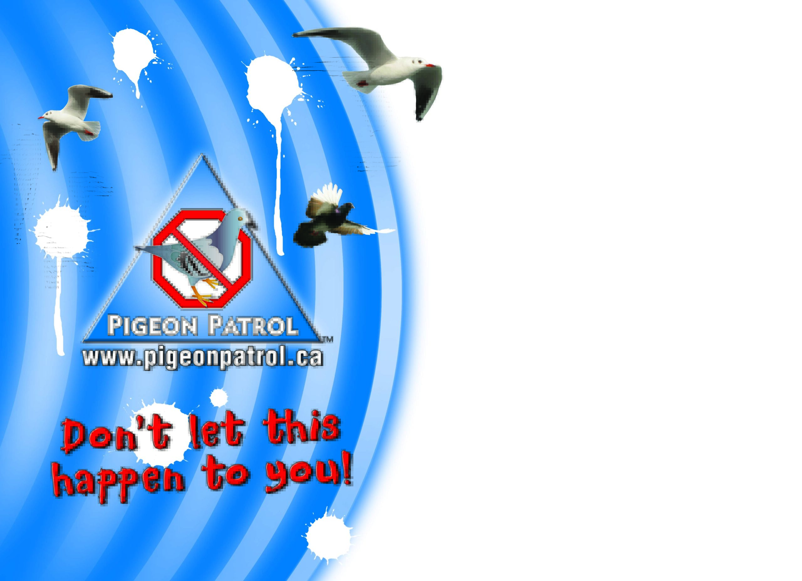 Sound Deterrent Archives - Pigeon Patrol Canada - Bird Control Products & Services