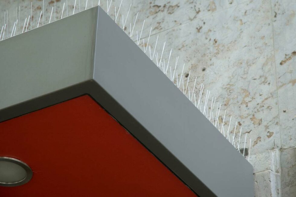 Bird Control | Safe, Humane Bird Deterrents That Work