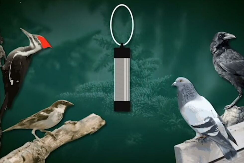 Magnetic Bird Defender Archives - Pigeon Patrol Canada - Bird Control ...